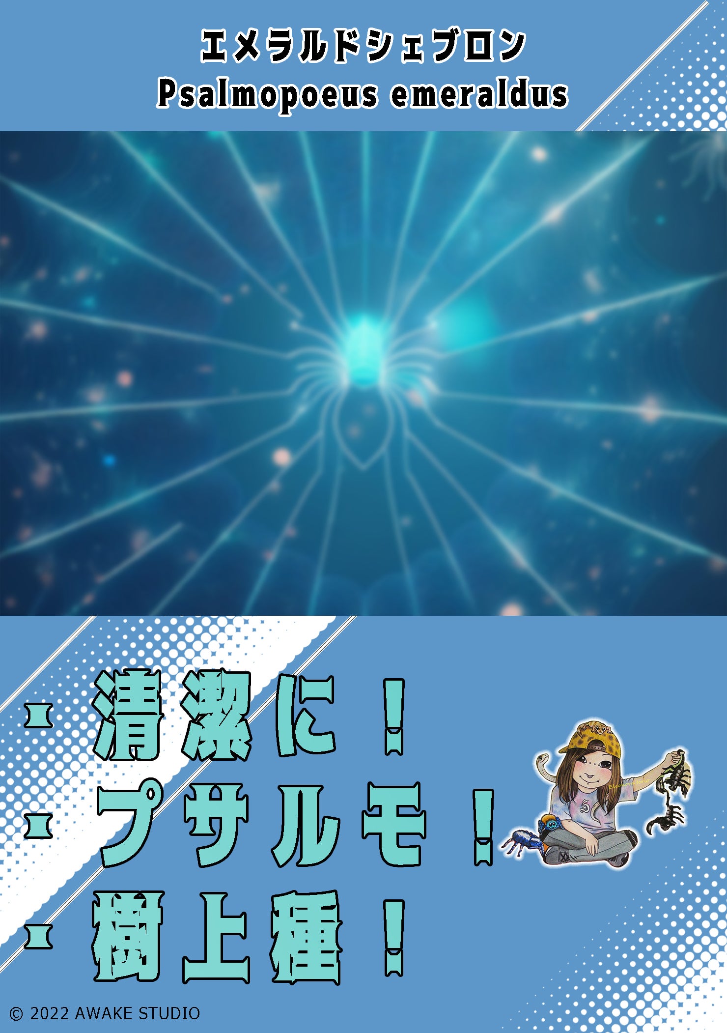 【新】エメラルドシェブロン/Psalmopoeus emeraldus【幼体】 | 奇蟲屋 榊（タランチュラ通販店）